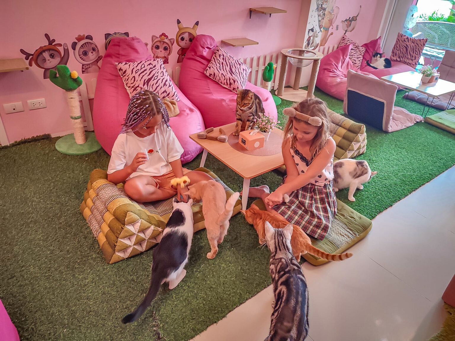 Top 10 best cafés in Phuket - Thai Unika Travel